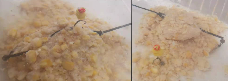 Guide to Feeder Fishing - Oz Fin Chasers